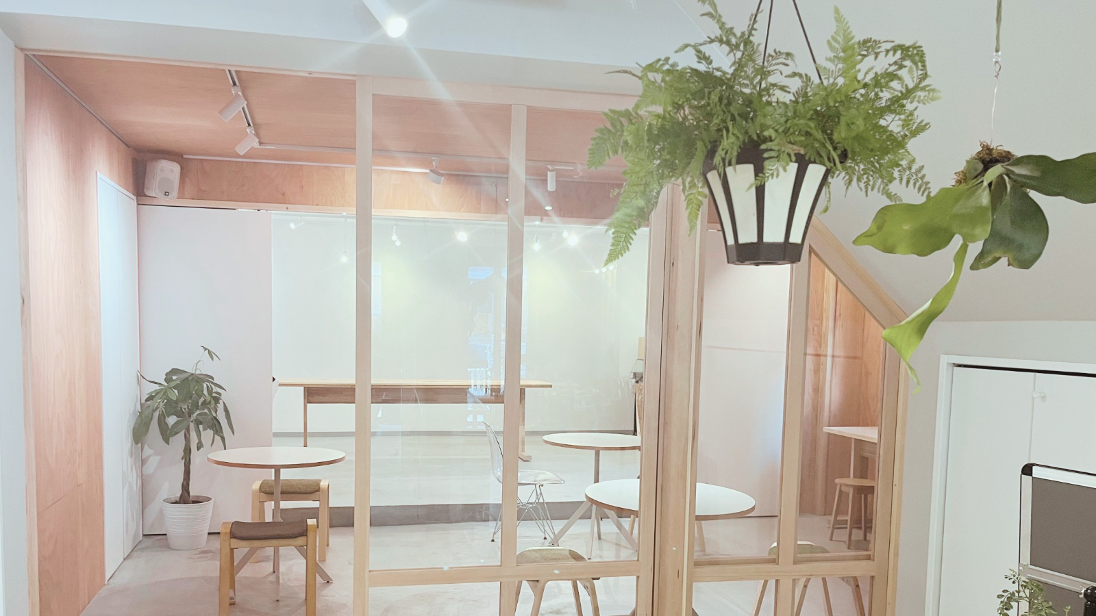 Sun Gallery and Space